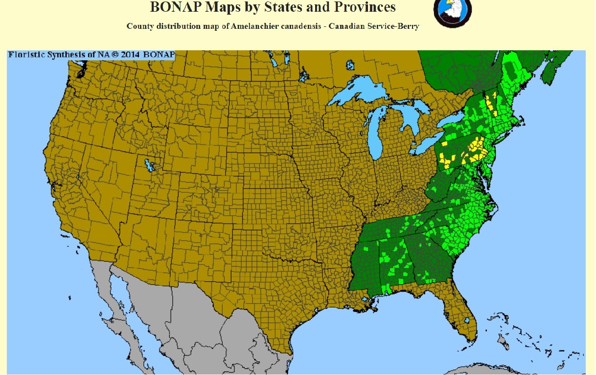 “Native Tree” Defined | Friends of Native Trees in Takoma