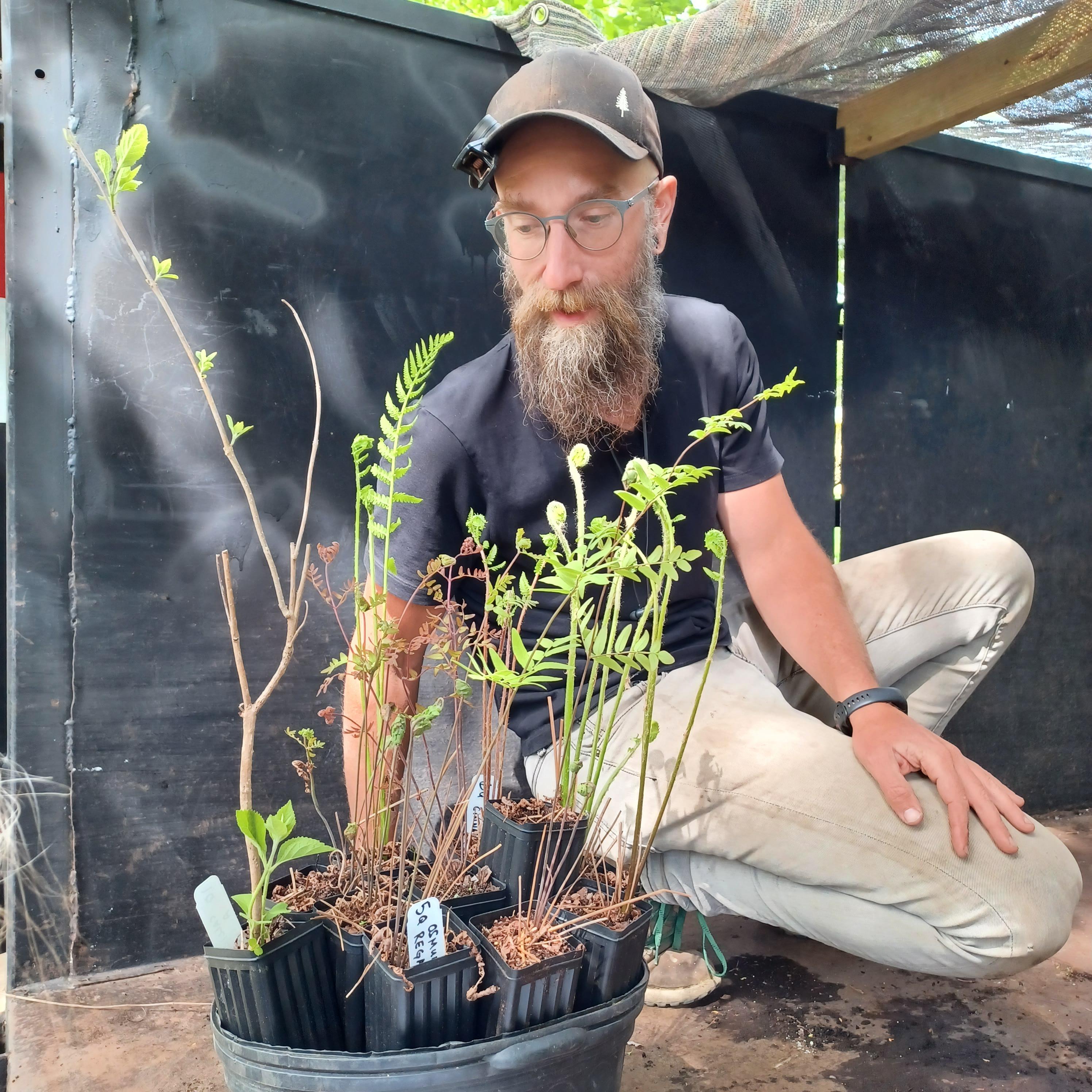 Bona Terra Nursery | Friends of Native Trees in Takoma