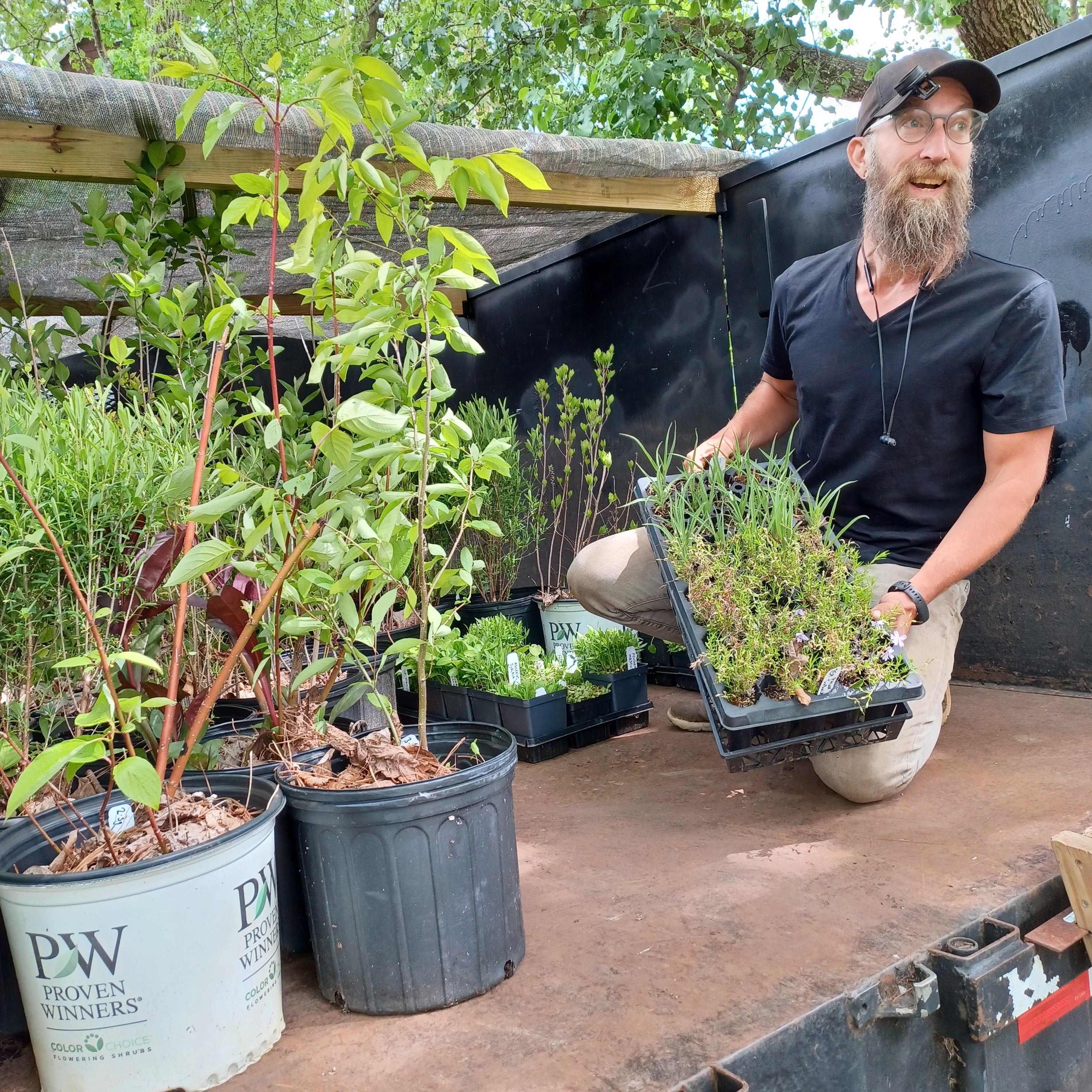 Plant Natives | Friends of Native Trees in Takoma