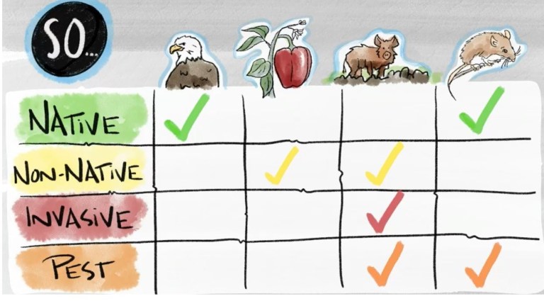 Definition of “Invasive Species” | Friends of Native Trees in Takoma